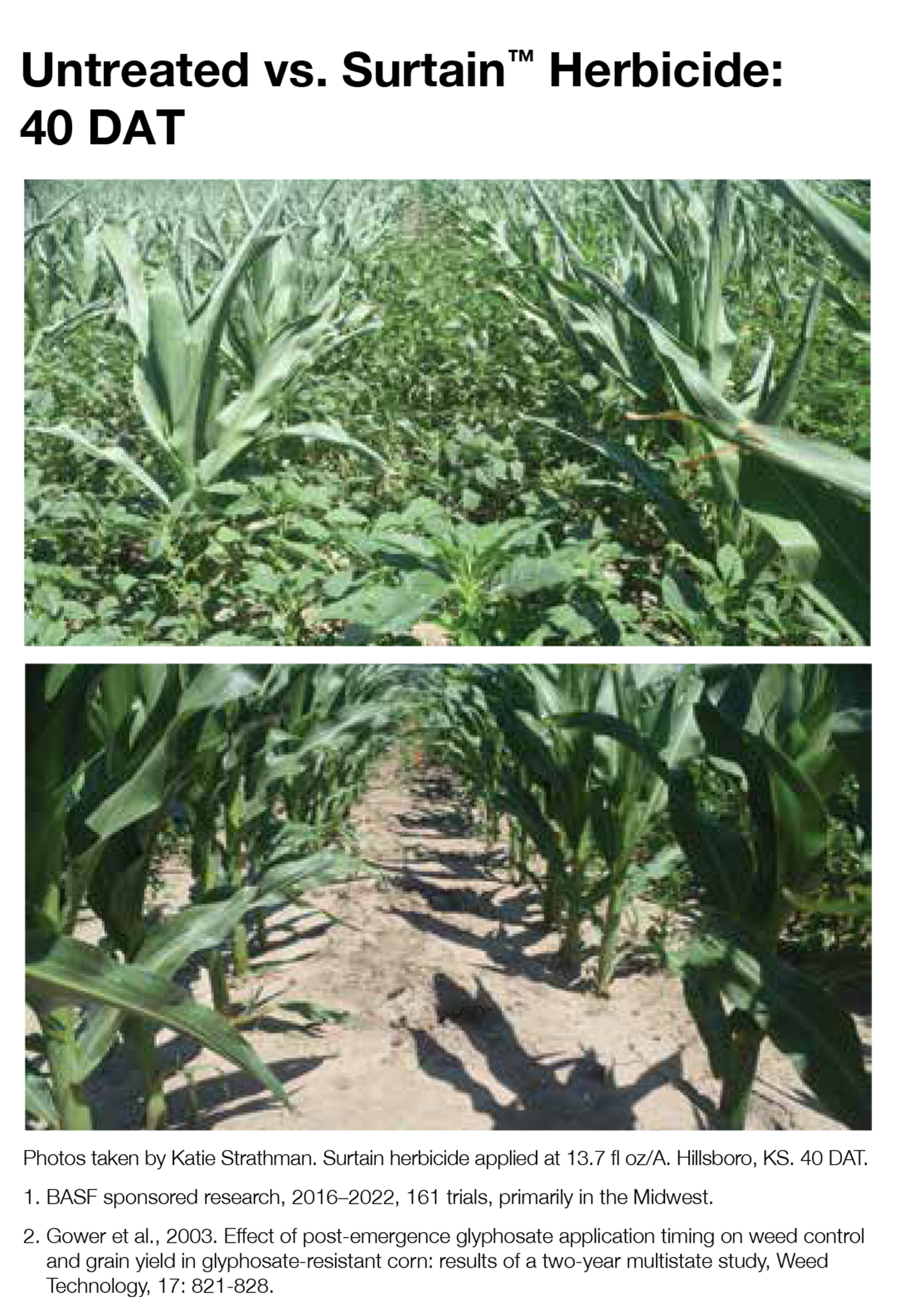 A new solution as pigweed resistance spreads